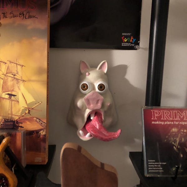 Primus - Pork Soda - Pig Head Refrigerator Magnet - Etsy