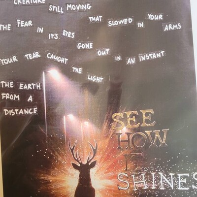 Hozier Lyrics Collage Through Me the Flood - Etsy