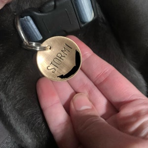 Custom Dog Tag / Custom Pet ID Tag Lucy in 1.25'' Domed Bronze ...