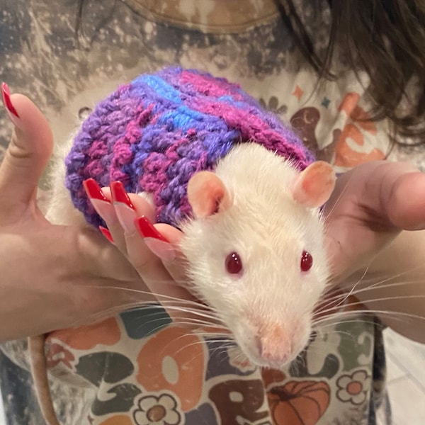 Rat Sweater - Cozy Sweater - Pet Sweater - Red Heart - Yarn - New ...