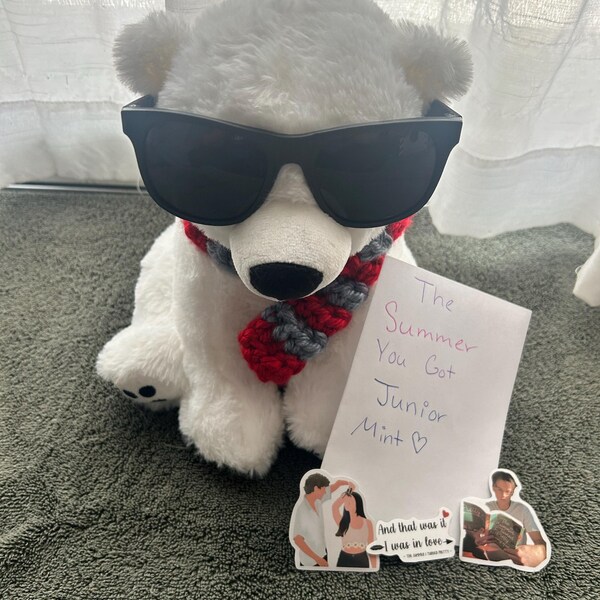 Junior Mint Inspired, the Summer I Turned Pretty, Belly’s Bear, A Gift ...