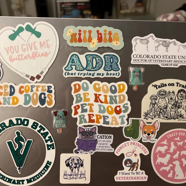 The Eras Tour | Lover House Sticker - Etsy