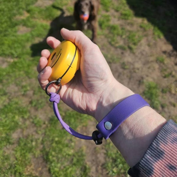 Biothane Remote Wrist Strap | Ecollar Remote Wrist Strap | Ecollar ...