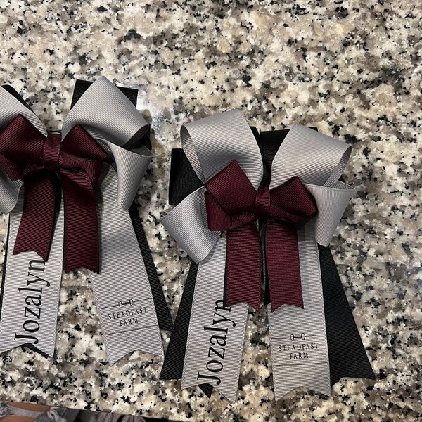 Custom Logo Equestrian Horse Show Bows *choose Your Colors - Etsy