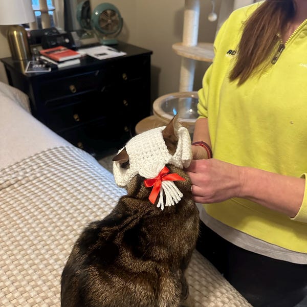 Powdered Wig, Hats for Cats, Barristers Wig, Judge Wig, Pet Costumes ...