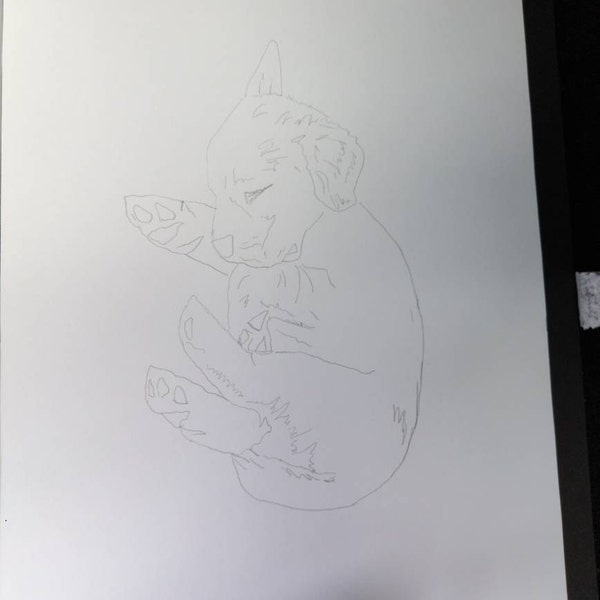 Learn to Draw Pre-outlined Pencil & Paper Drawing Kit W/ Tutorial Easy ...