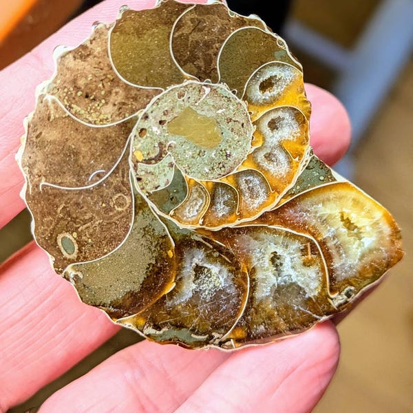 I LICK ROCKS Sticker | Funny Rock Stickers | Agate Dad - Etsy