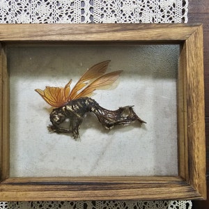 Rotting Skeleton Corpse - Etsy