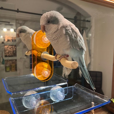 17x6cm Colorful Acrylic Parrot Window Bird Wooden Perch Stickers Stand ...