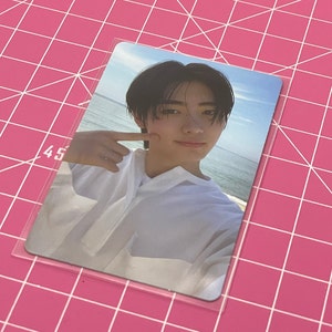 Mettle Shell Shipping Container | Etsy