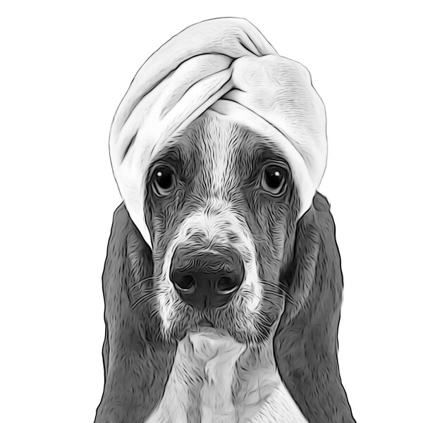 Bathroom Art, Raccoon, Spa Decor, Toilet Humor, Kids Bathroom, Bathroom ...