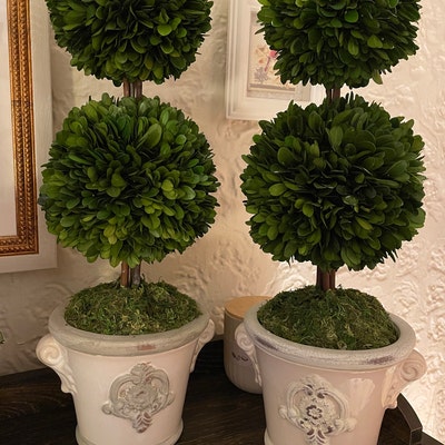 Custom Preserved Boxwood Topiary, Double Boxwood Topiary, French ...