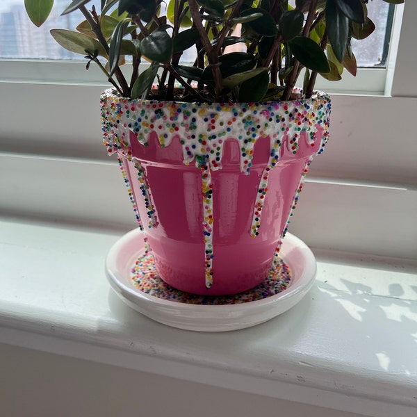 Sprinkle Planter, Cloud Plant Pot, Sunset Planter, Ice Cream Planter ...