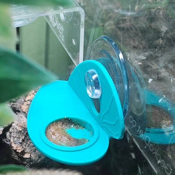 Pink Princess Philodendron Ledge for 0.5oz Deli Cup | Crested Gecko ...