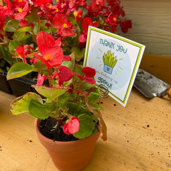 Substitute Teacher Note Template Editable, While You Were Away ...