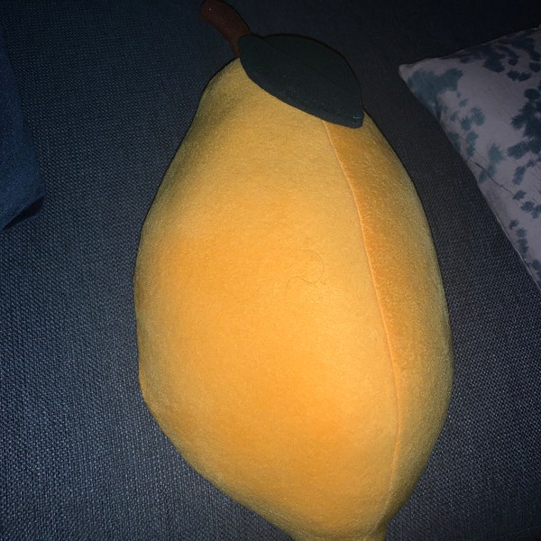 Cushion Seashell, WHITE Color Pillow,round Cushion,seashell Decorative ...