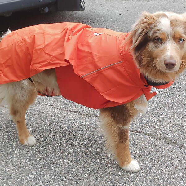Comfortable Full Body Dog Suit, Overall for Dogs, Waterproof ...