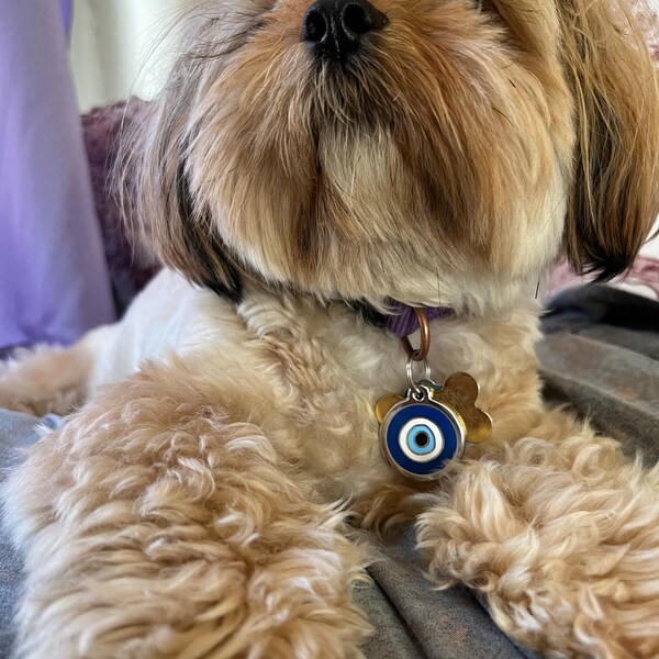 Evil Eye Enamel Stainless Steel Personalized Custom Pet Tag LIFETIME ID ...