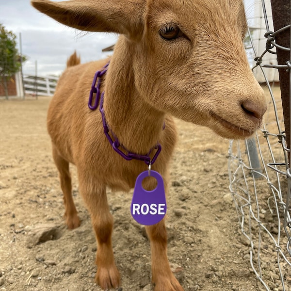 Custom Goat and Sheep Collar Tags - Etsy