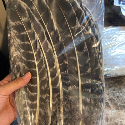 Natural Ostrich Wing Plumes per 5 Feathers - Etsy