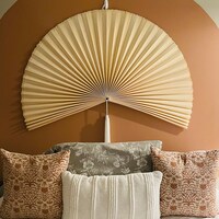 Nagareboshi Begonia Maculata, shooting Star Begonia, Rare Begonia Starter Plant, Japanese ...