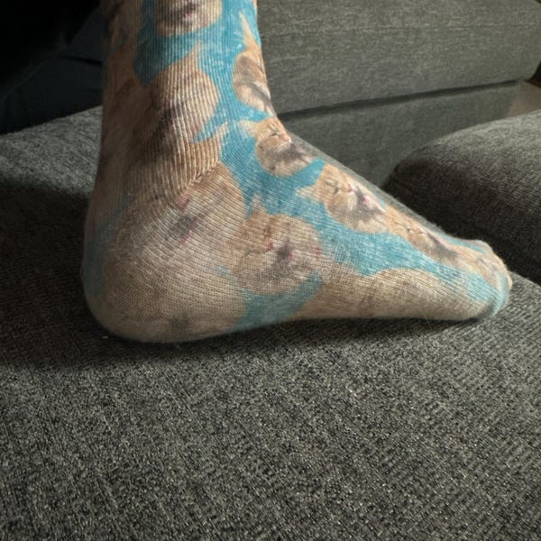 Fun Father's Day Socks With Poop Emoji, Novelty Socks for Dad, Printed ...