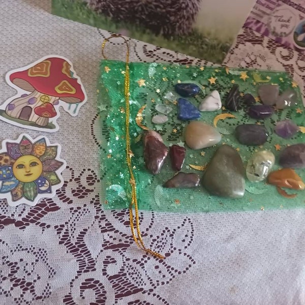 Mystery Plant Cutting Box, Mystery Cuttings, Mystery House Plants ...