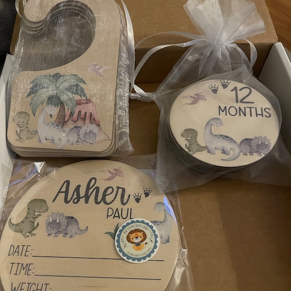 Dinosaur Milestone Cards, Baby Milestone Dinosaur Discs Marker, Wood ...