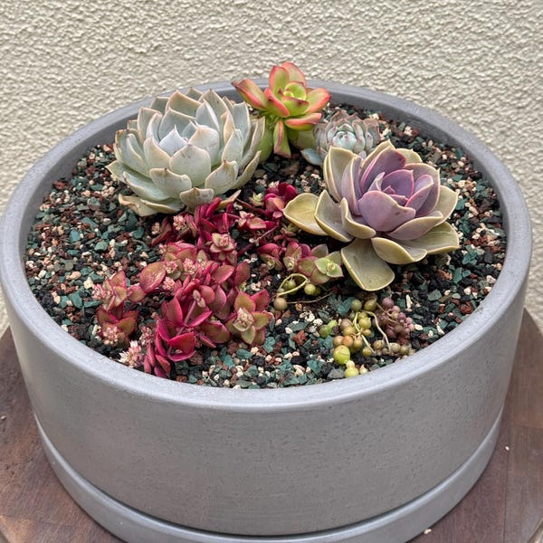 Concrete Sink - Modern Ramp Double Basin - Etsy