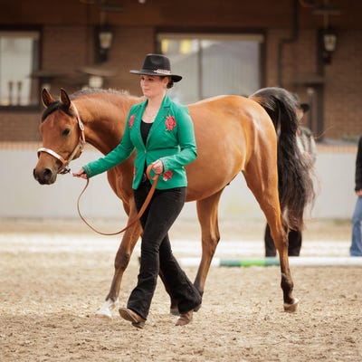 Extra Large Peony Flower Patch for Vintage Clothes Back Floral Applique ...