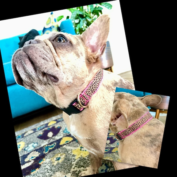 Saint Patrick's Day Shamrocks Dog Collar, Leash, or Matched Set....also ...