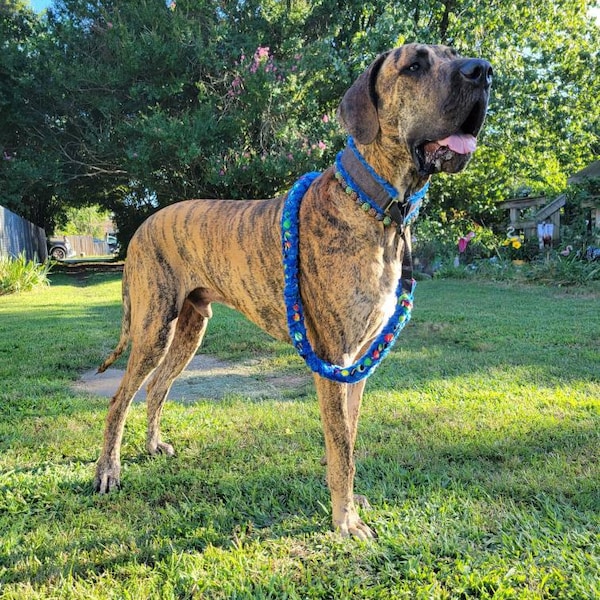 Bold and Bright Ring Lead With Tug! - Agility Lead-barn Hunt Lead ...