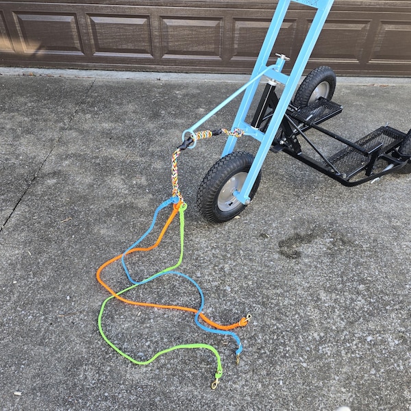 4 Dog Sled Line - Etsy