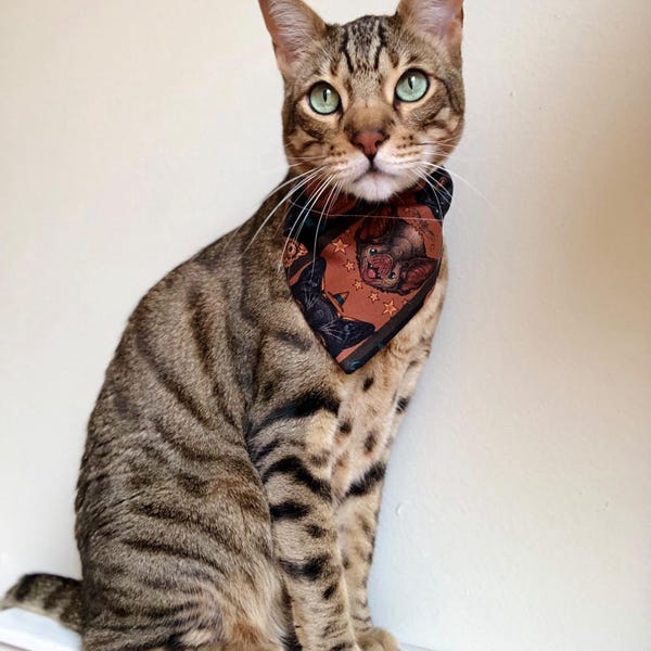 Constance Quilt Kit With Dandi Duo by Robin Pickens Lap or Twin Size - Etsy