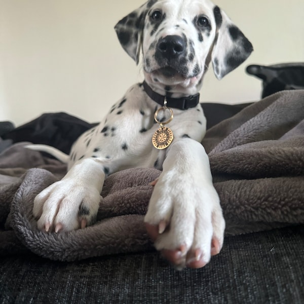 Nordic Viking Dog Tag, Norse Viking Runes Keyring, Tribal Celtic Aztec ...