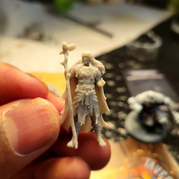 DNDDGL Takhisis Dark Dragon Queen Medora Dragonlance Miniature by ...