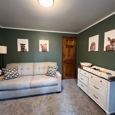 Cute Baby Animals, Set of 6 Woodland Creatures Prints, Outdoor Nature ...