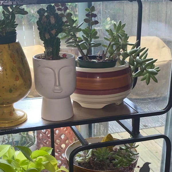 10" Repurposed Barbed Wire Peace Sign - New - (NBPE#1M/151) - Etsy