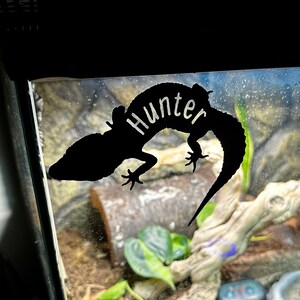 Customizable Name Leopard Gecko Lizard Vinyl Decal READ DESCRIPTION - Etsy