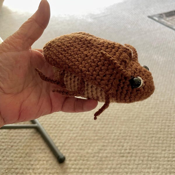 Crunch the Cockroach Crochet Pattern, Amigurumi Pattern - Etsy