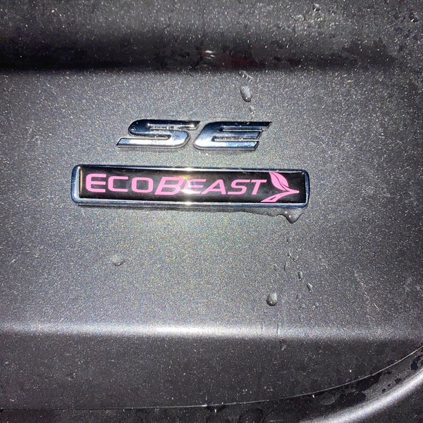 Gel Coated (domed) FORD ECOBEAST Emblem Overlays Ecoboost Eco Boost ...