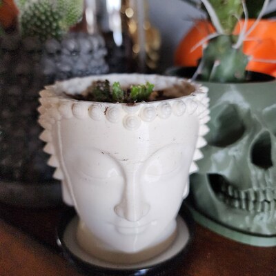 Whale Planter Succulent Pot Sea Creature 3D Printed - Etsy