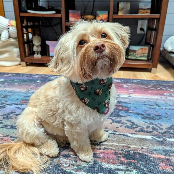 Ruff Hippie Dog Bandana Tie and Snap, Green Mushrooms - Etsy