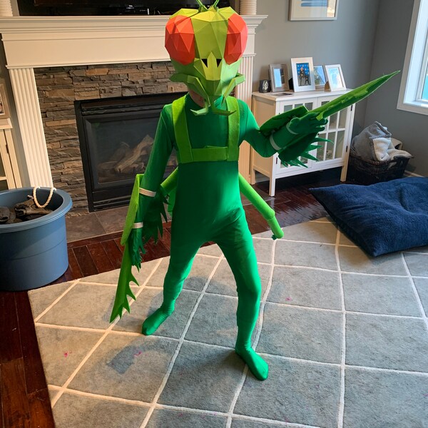 Praying Mantis Mask Paper Pattern | Insect Mask Halloween Mask DIY Mask ...
