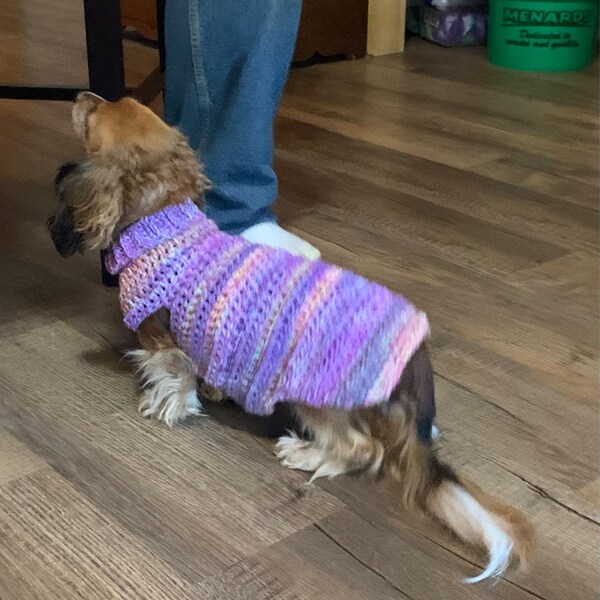 Ledger Sweater CROCHET Pattern Beginner Friendly Sweater for Dogs in 5 ...