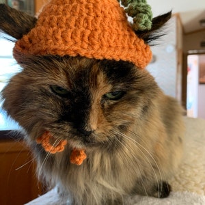 Apple Hat for Cats - Etsy