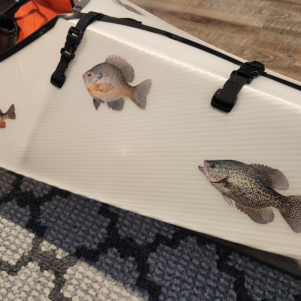 Brook Trout Replica Duo Wall Art -19 Inch Realistic 2D (flat) Metal ...