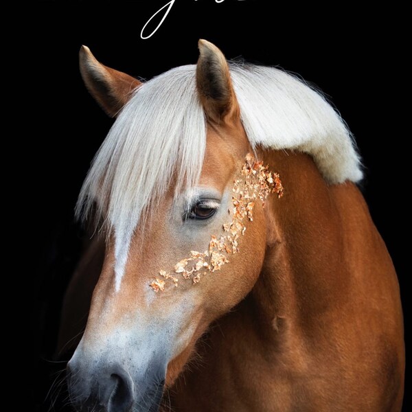 130 Instagram Story Sticker Summer Summer PNG Digital Procreate - Etsy