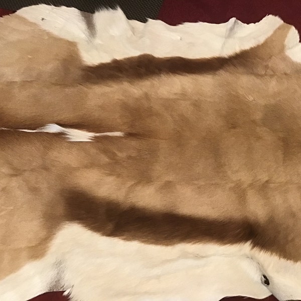 Springbok Pelt Genuine Deer Fur Blesbok Antelope Pelt Natural Color ...