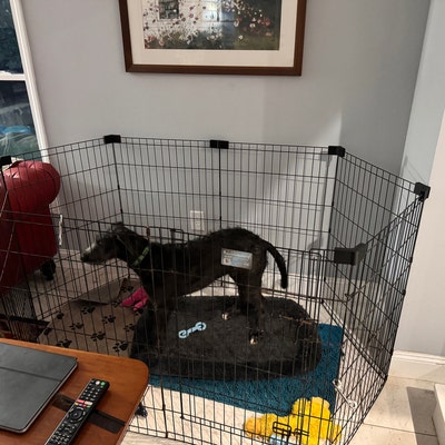 2 Brackets custom Package for Wire Metal Pet Dog Puppy Bunny Exercise ...